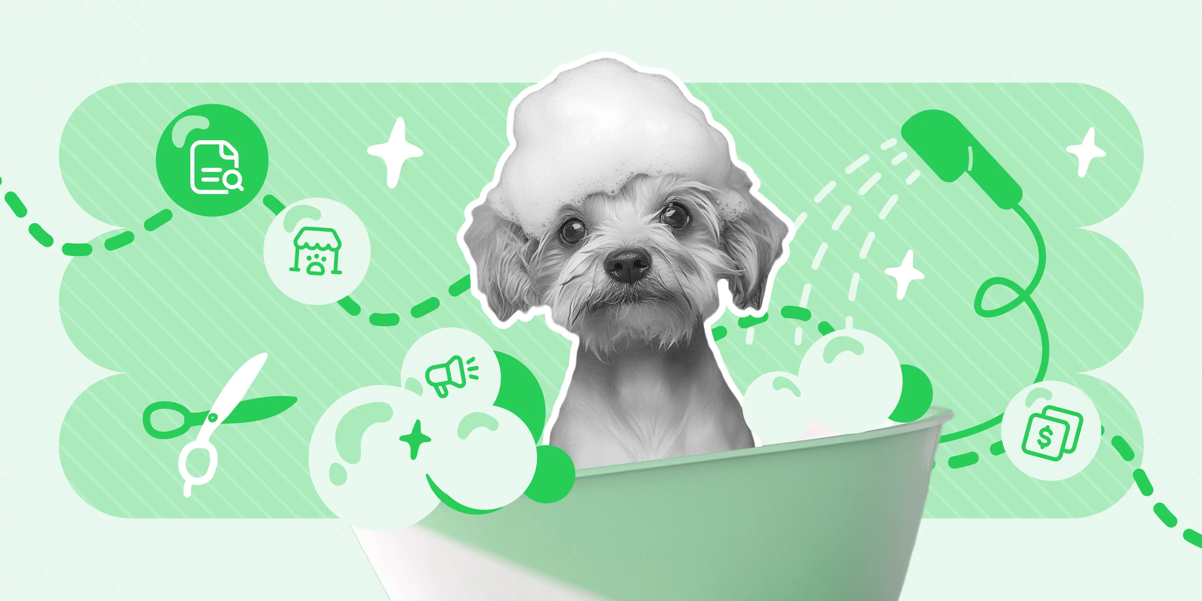 How to Start a Dog Grooming Business: Step-by-Step Guide